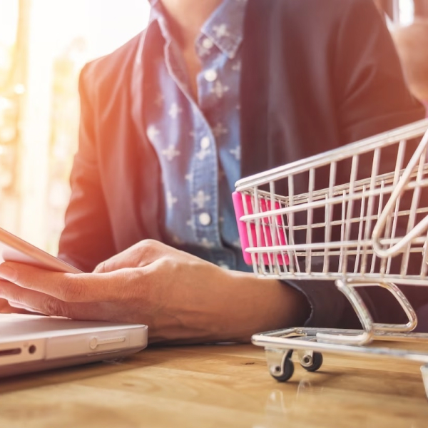 Web Development Company | BMV System Integration | BMVSI