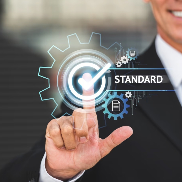 Web Development Company | BMV System Integration | BMVSI